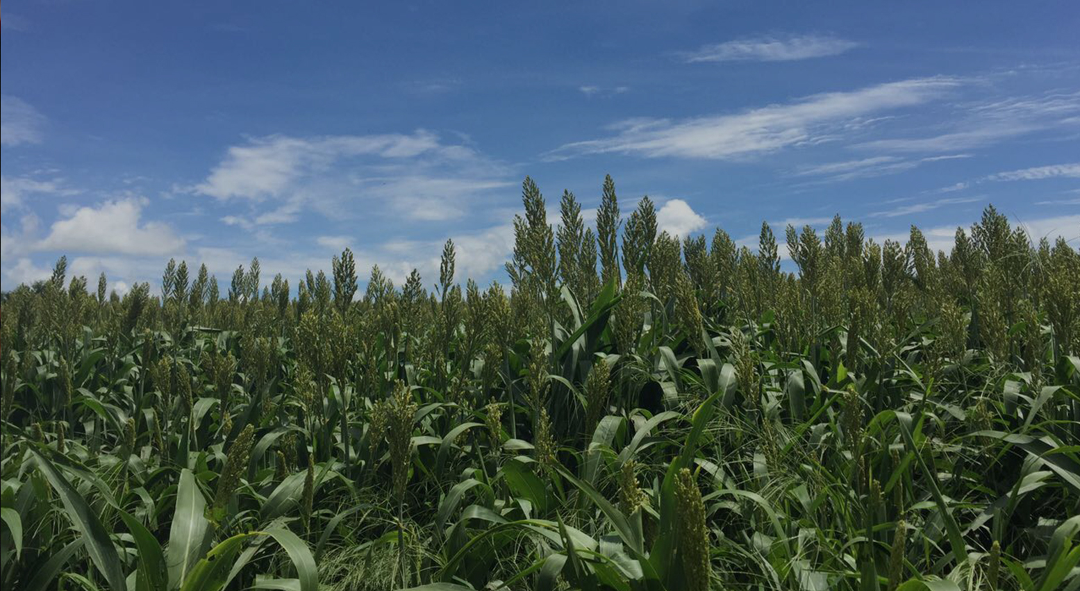 AQUATICA SOLAR - LORENTZ